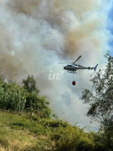 Capannori, ecco la mappa delle aree forestali colpite da incendi nel ...